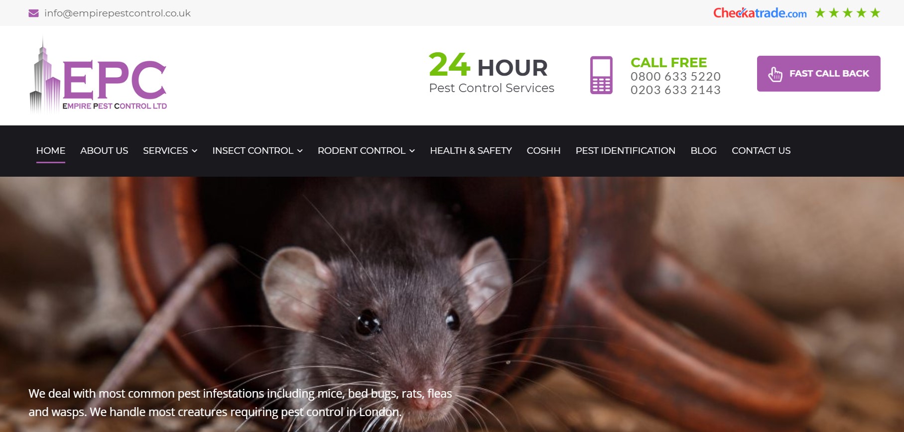 Top 13 Pest Control Services Companies in London | London Business News