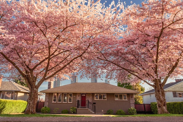 Cutting Down a Tree on a London Property: Questions Answered